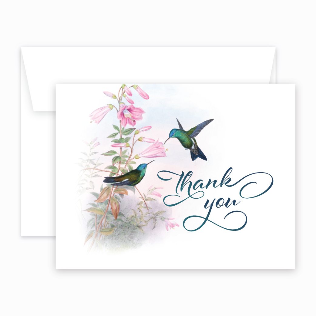 Hummingbird Thank You Note Card Blank | Addressed to you card design